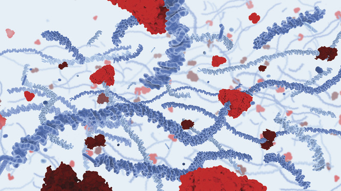 Exiqon LNA Products. : QIAGEN 제품 소개