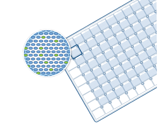 Nanoplate-based digital PCR system - QIAcuity. : QIAGEN 제품 소개
