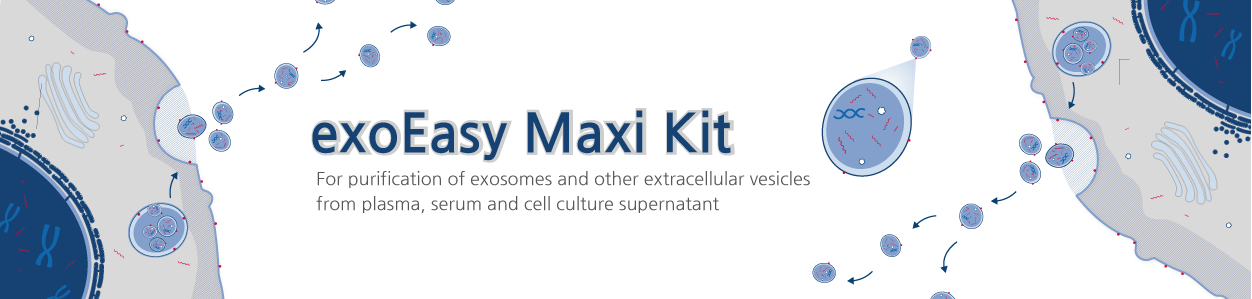 Exosome Purification - exoEasy Maxi Kit. : QIAGEN 제품 소개
