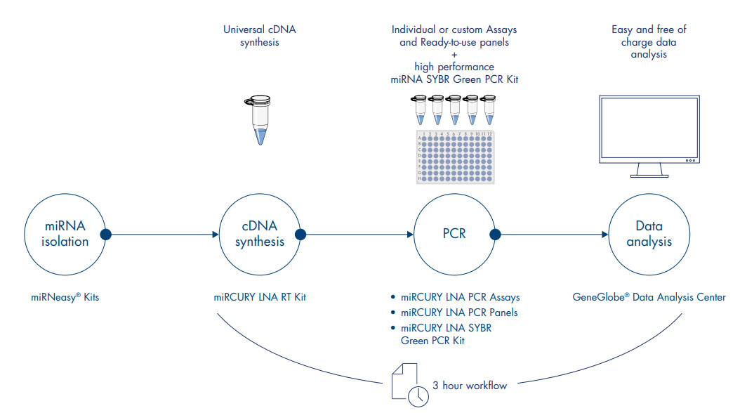 성공적인 miRNA 실험 setting을 원하신다면 miRCURY PCR Starter Kit를 사용해보세요. : 주요브랜드 자세한 product information