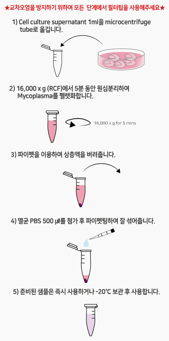 1시간 안에 검출 가능한 Mycoplasma Detection Kit : Invivogen 제품 소개
