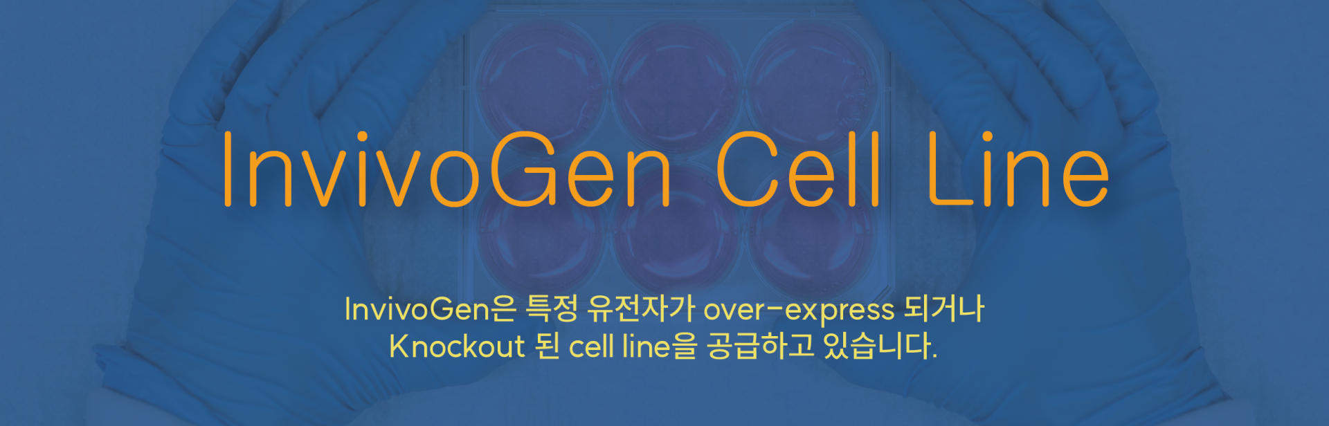 Reporter cell lines_ver.2 : Invivogen 제품 소개