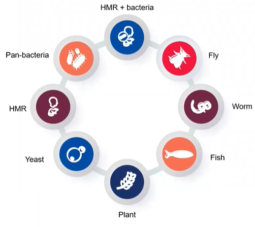 QIAseq FastSelect RNA Removal Kits. : QIAGEN 제품 소개
