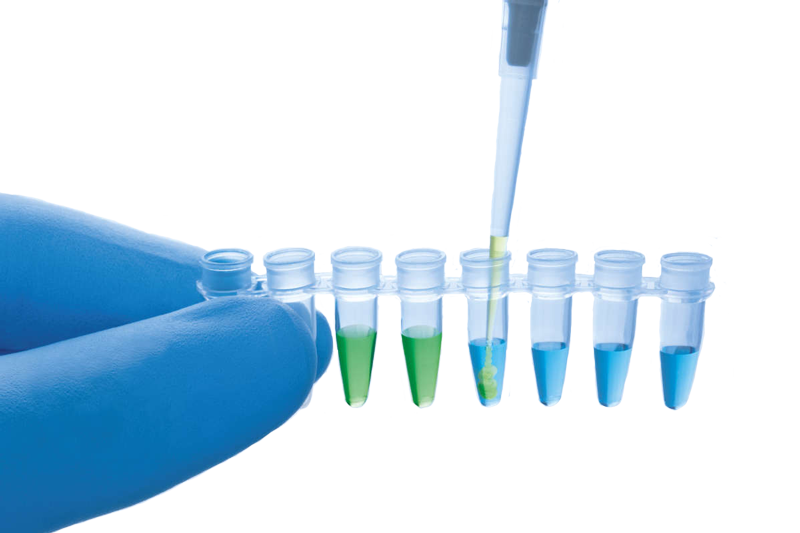 보다 빠르고 정확한 Real-time PCR 결과를 원하신다면QIAGEN으로 실험하세요! : QIAGEN 제품 소개