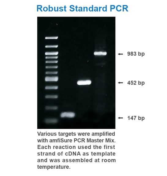 Conventional PCR 제품- amfiSure PCR 제품군 : GenDEPOT 제품 소개