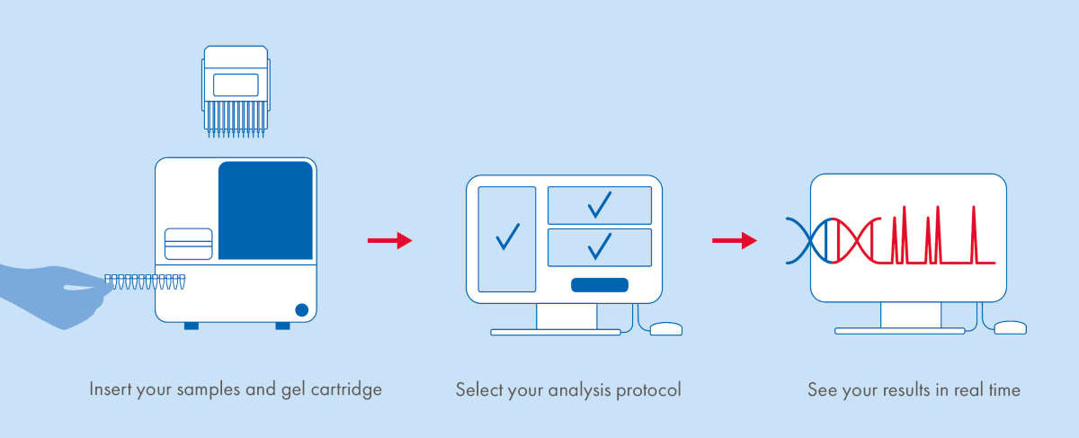 전기영동의 새로운 패러다임 QIAxcel connect. : QIAGEN 제품 소개