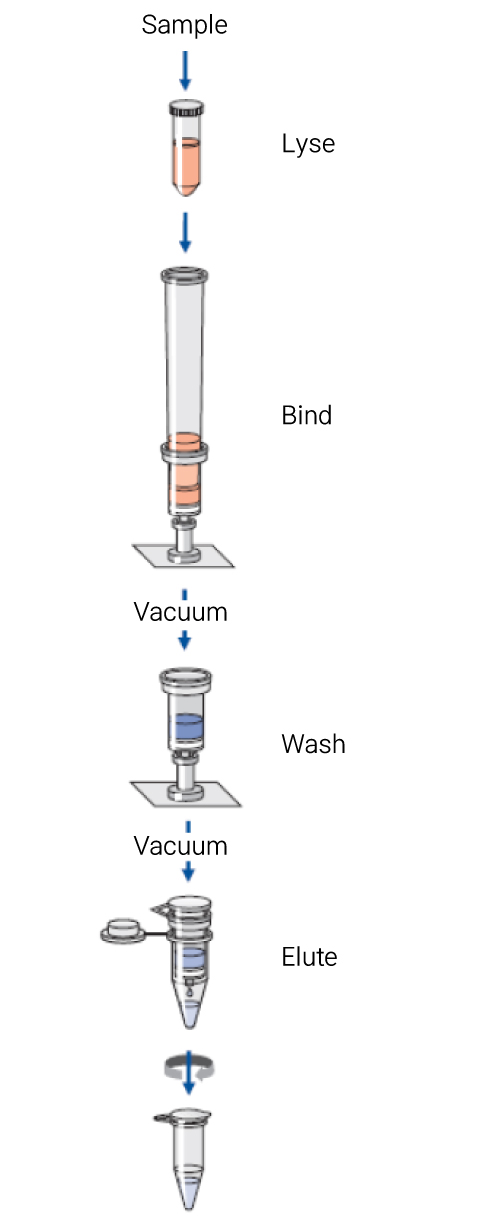 Cell free DNA & RNA 추출도 QIAGEN kit입니다! : QIAGEN 제품 소개