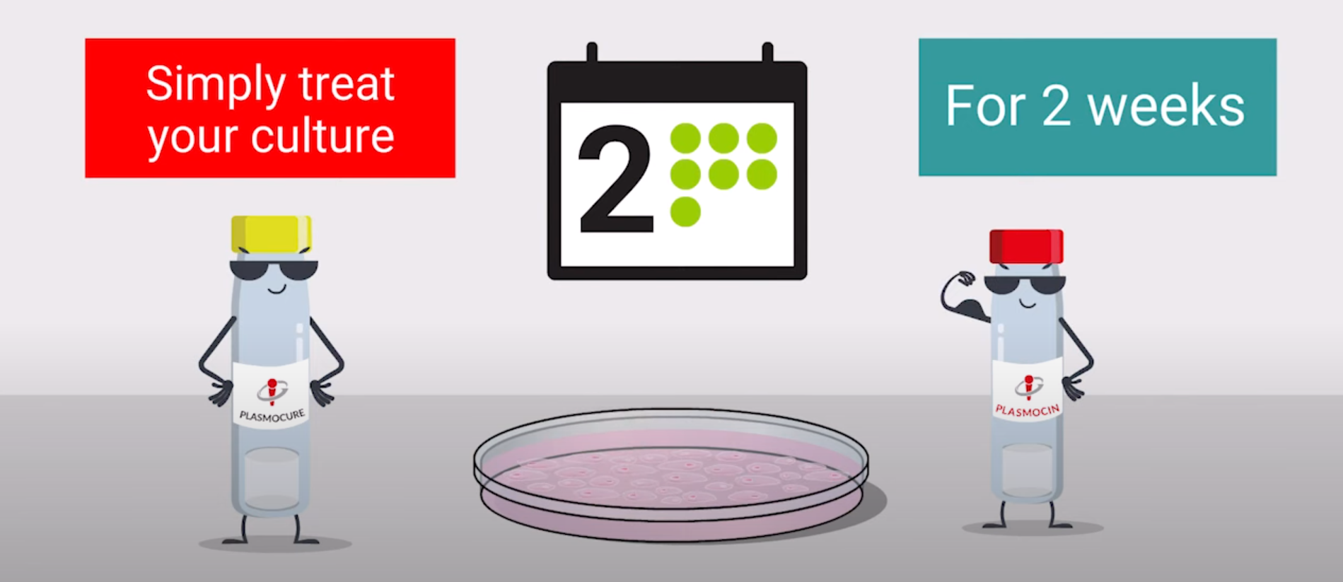 Mycoplasma 예방 및 제거 제품 : Invivogen 제품 소개