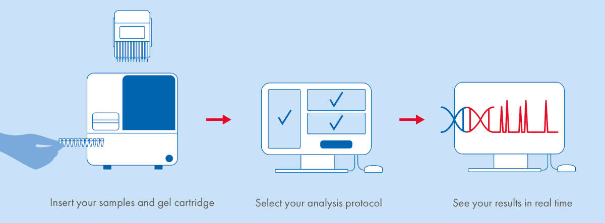 자동화 전기영동_QIAxcel Connect. : QIAGEN 제품 소개