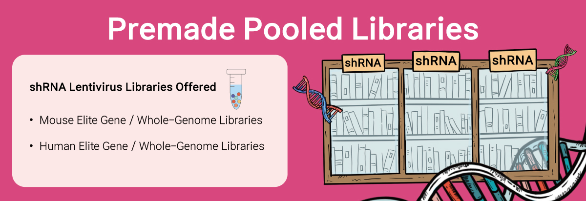 Premade Pooled shRNA Library도 VectorBuilder와 함께 하세요! : VectorBuilder 제품 소개