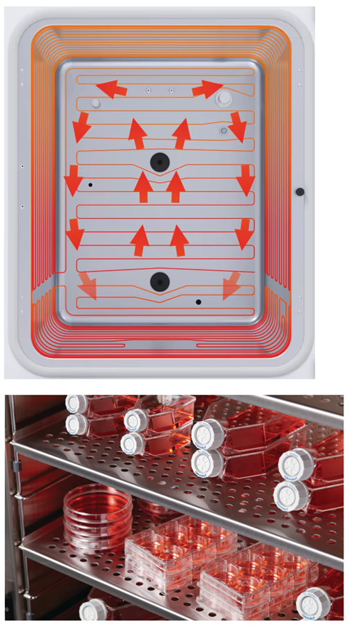 CellXpert® C170/ C170i - Cell Culture Incubator : Eppendorf 제품 소개