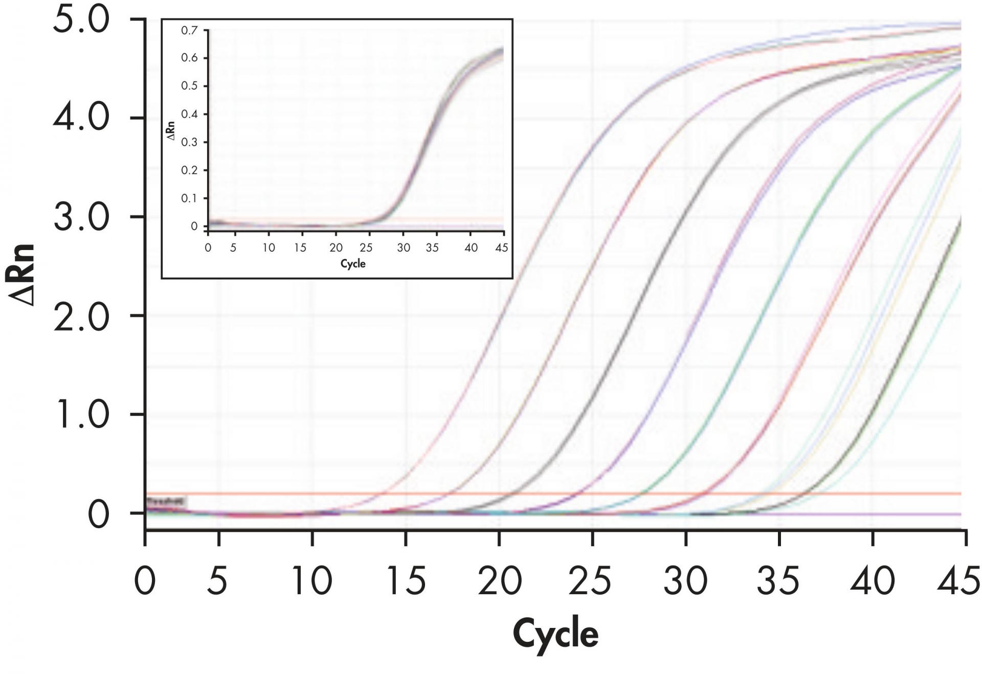 Residual DNA를 검출할 수 있는 Certal CHO Detection Kit. : QIAGEN 제품 소개