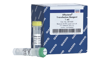 Primary cell에서의 효율적인 transfection을 위한 - Effectene Transfection Reagent ...
