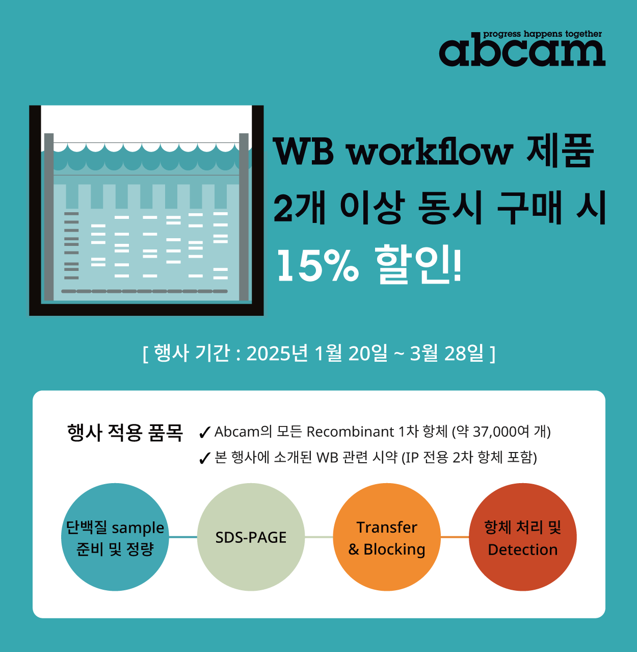 [Abcam] WB workflow 제품 2개 이상 동시 구매 시 15% 할인! (행사 종료) : 할인행사 및 각종 Event
