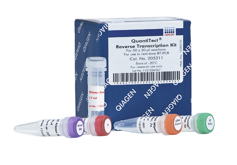 빠르고 편리하게 cDNA를 합성해보세요! : QIAGEN 제품 소개