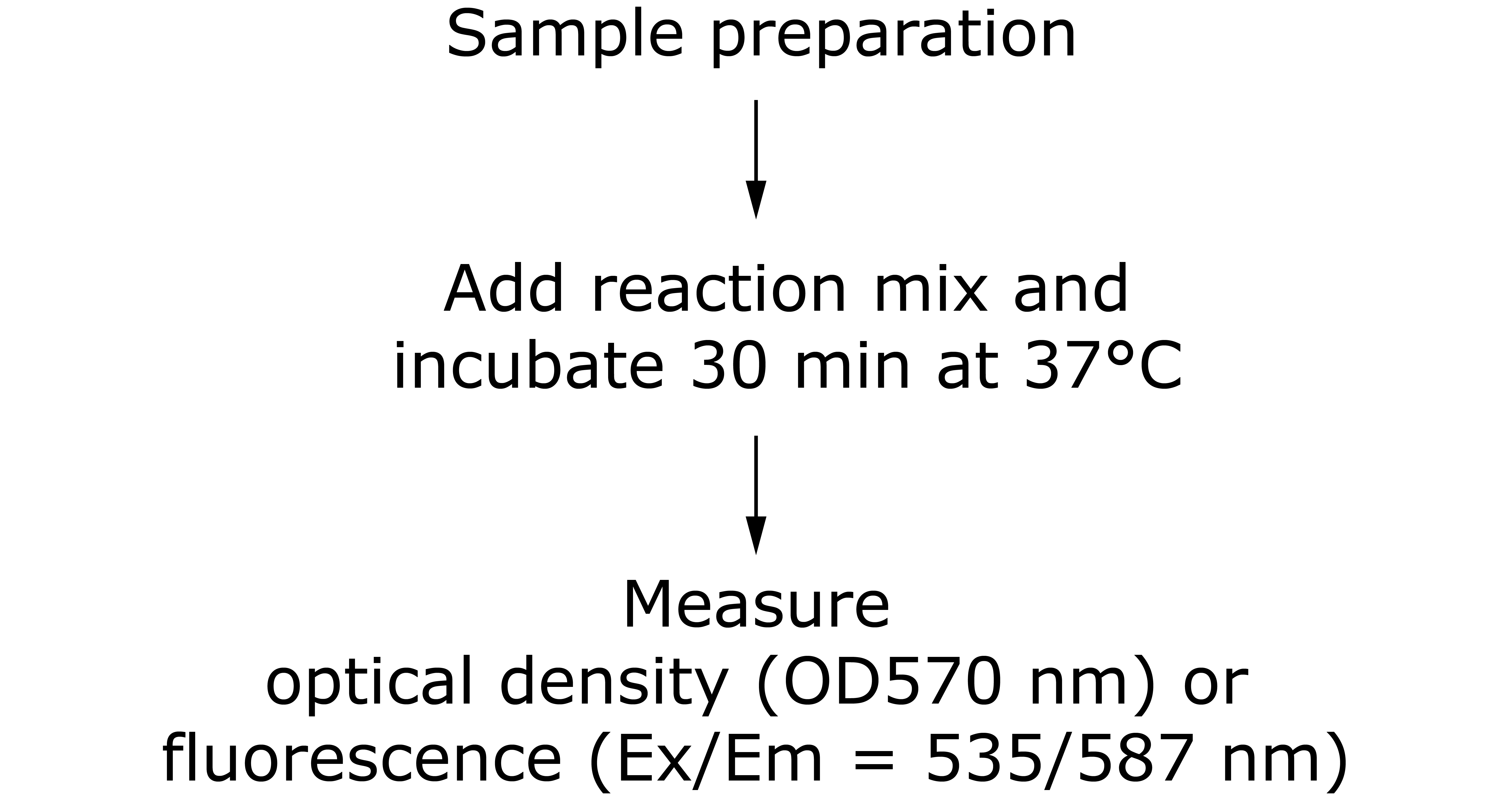 Ethanol Assay kit : Abcam 제품 소개