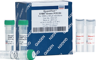 QIAGEN의 Real-time PCR Kit로 빠르고 정확한 결과를 얻어보세요! : QIAGEN 제품 소개