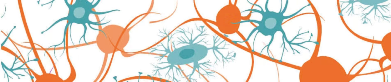 Neuroscience_Neural Markers Guide : Abcam 제품 소개
