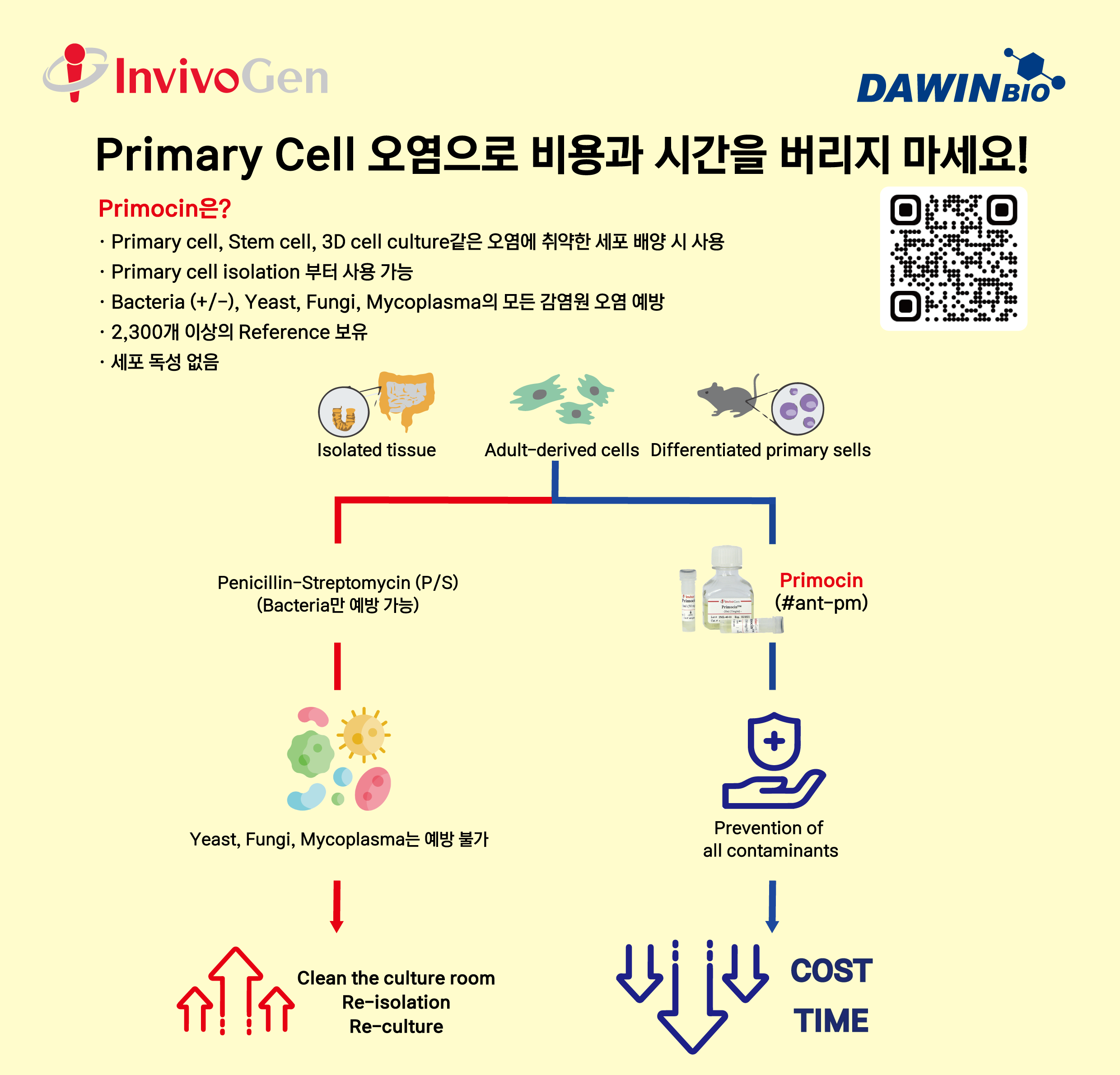 Cell contamination으로 새는 이중지출! Primocin과 Normocin으로 해결하세요! : Invivogen 제품 소개