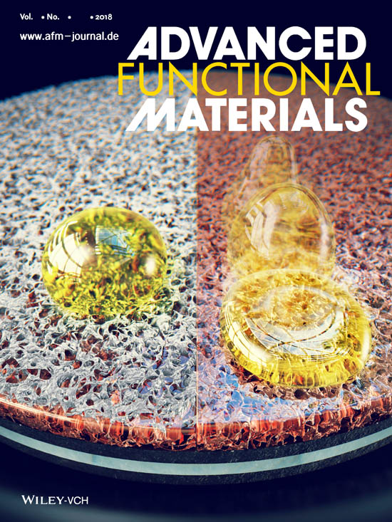 Wiley_ADVANCED FUNCTIONAL MATERIALS : Publishing News