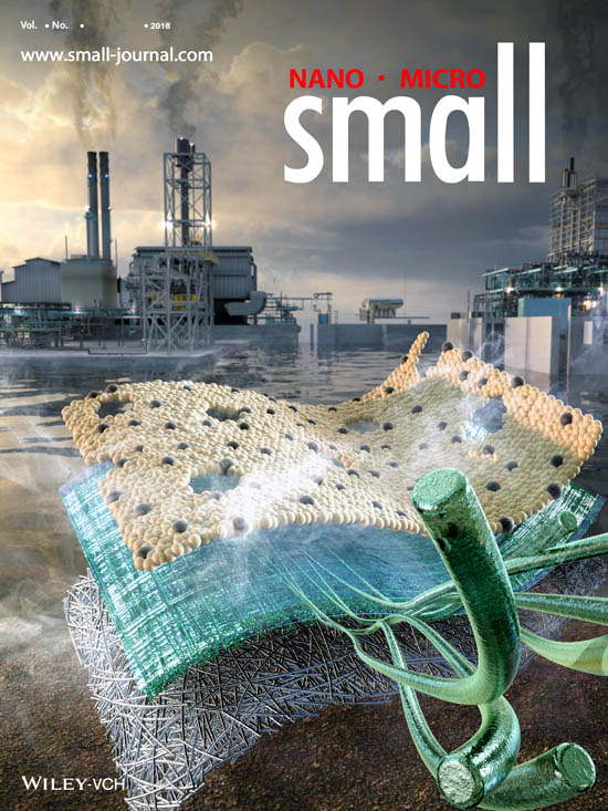 wiley_small : Publishing News