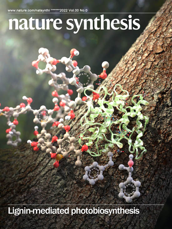 nature synthesis : Publishing News
