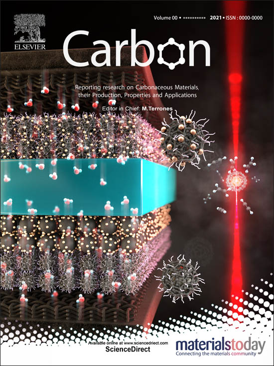 ELSEVIER_Carbon : Publishing News