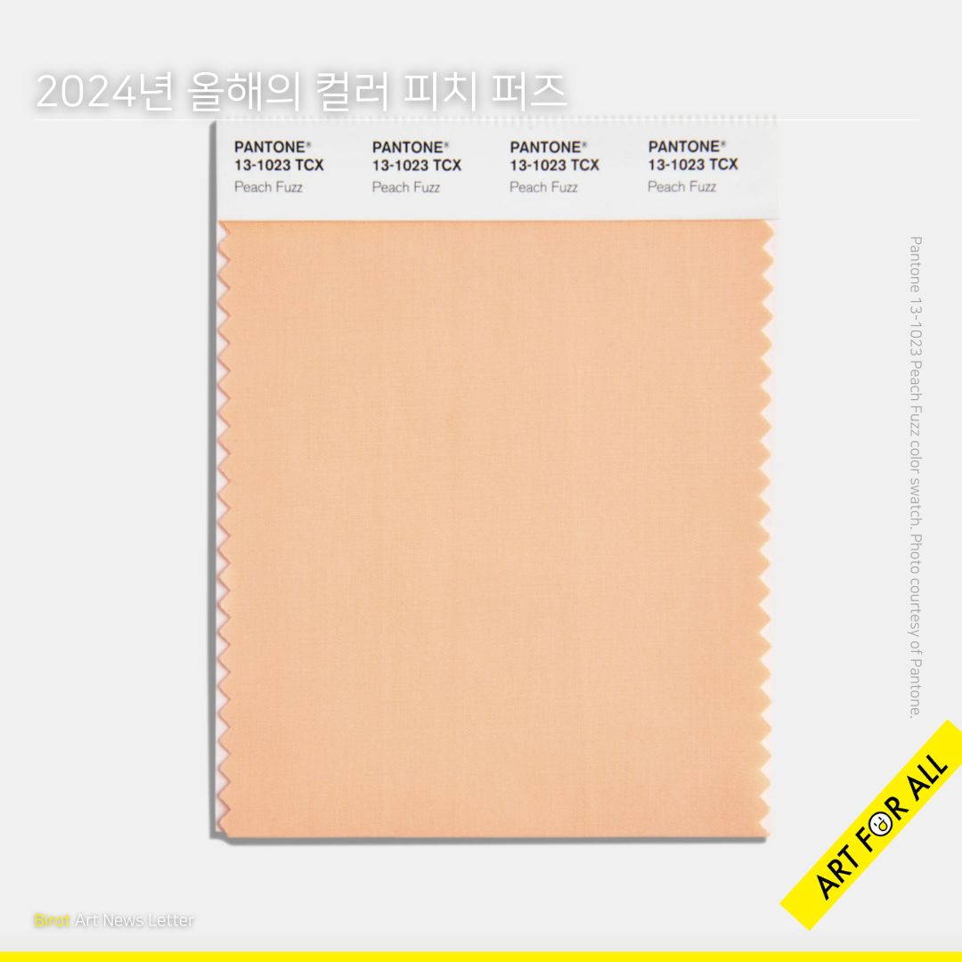 🍑2024년 올해의 컬러 피치 퍼즈 : News : 비롯 / BIROT