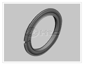 Outer Ring Centering Ring, O'ring(Europe) : iso centering ring