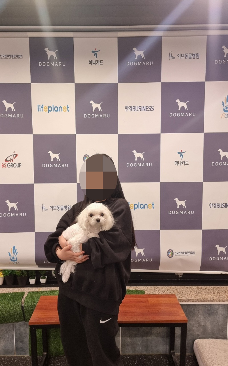 울산 2022 0016 말티즈 밀크 책임분양 유기묘무료입양사이트 비숑프리제파양 포메라니안파양 말티즈파양 말티푸파양 푸들파양 먼치킨파양 랙돌파양 브리티쉬숏헤어파양