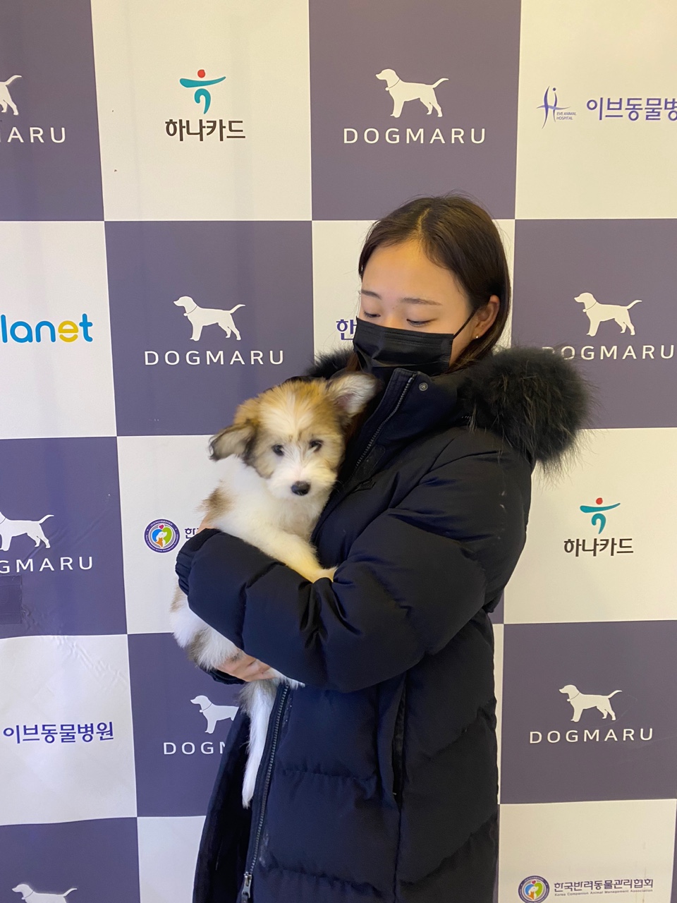 대구 2021 0402 믹스견 땅땅이 책임분양 애완견성격 반려견성격 소형견크기 중형견크기 미니비숑프리제크기 토이푸들크기 골든리트리버크기 래브라도리트리버크기 닥스훈트크기