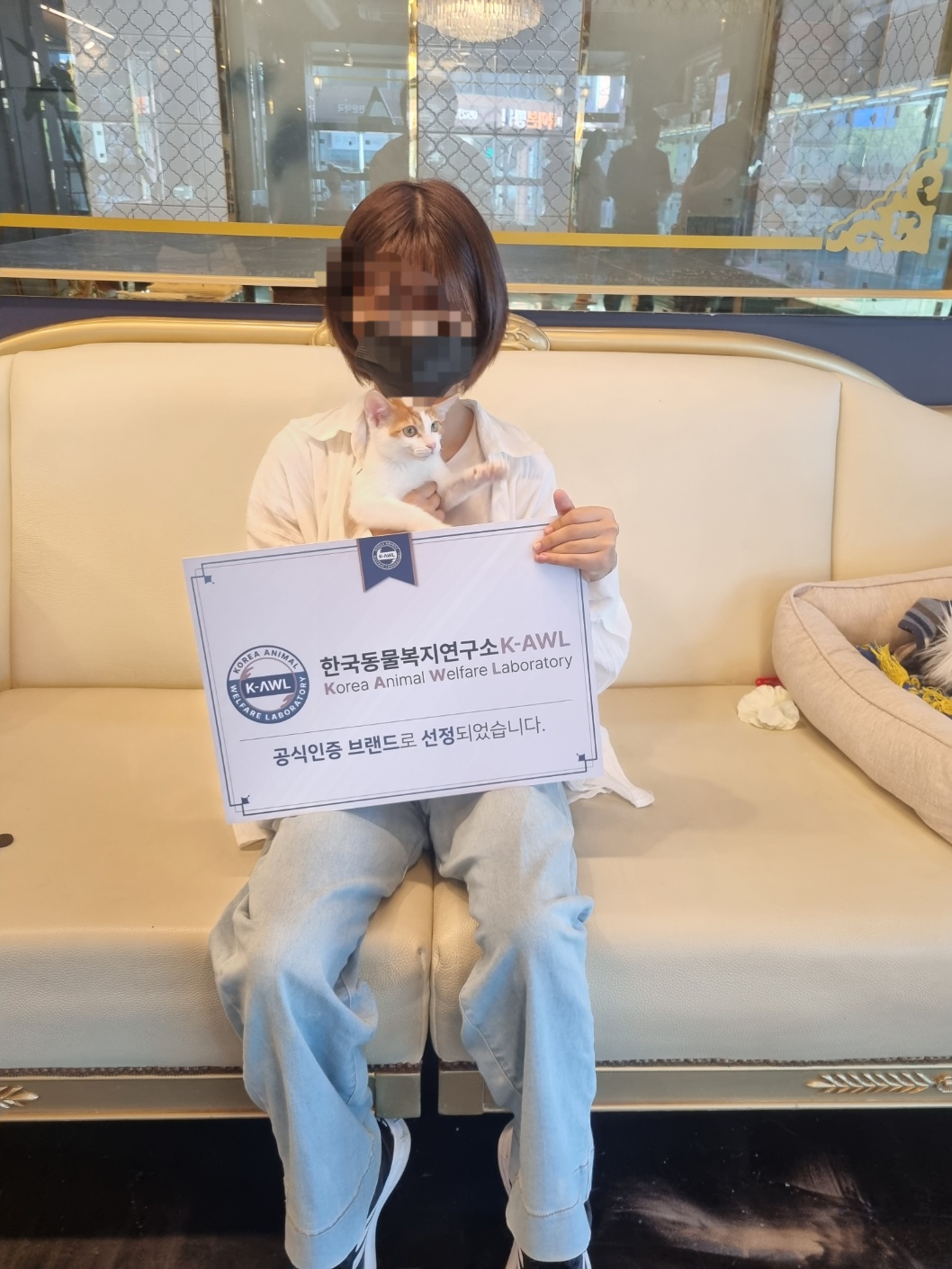 코리안숏헤어 코코 유기묘무료입양사이트 비숑프리제파양 포메라니안파양 말티즈파양 말티푸파양 푸들파양 먼치킨파양 랙돌파양 브리티쉬숏헤어파양 스코티쉬폴드파양 러시안블루파양 강아지