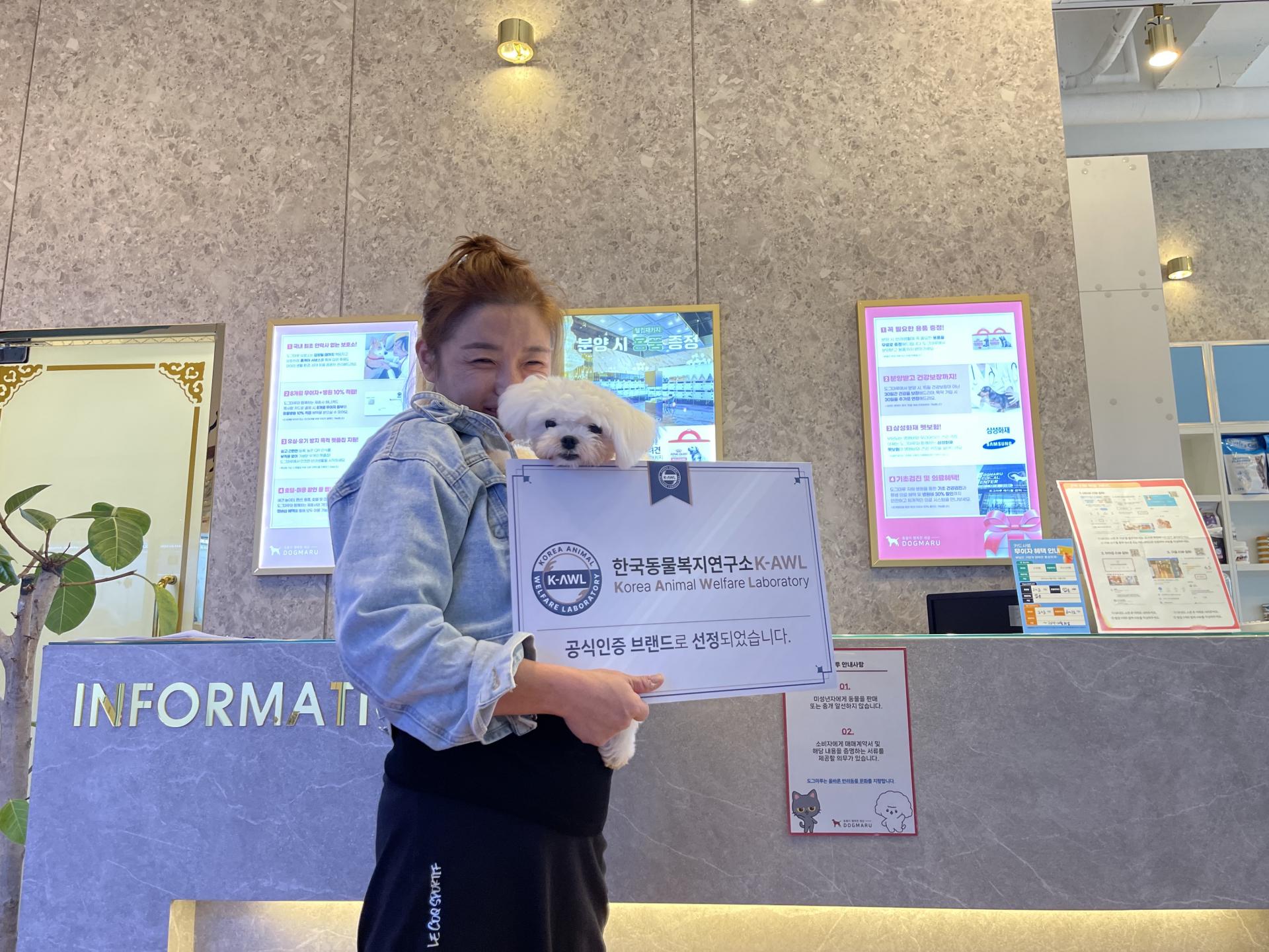 말티즈 테디 강아지책임분양 고양이책임분양 유기견책임분양 유기묘책임분양 연예인강아지분양하는곳 연예인고양이분양하는곳 골댕이무료분양 강아지입양보내기 고양이입양보내기 강아지분양