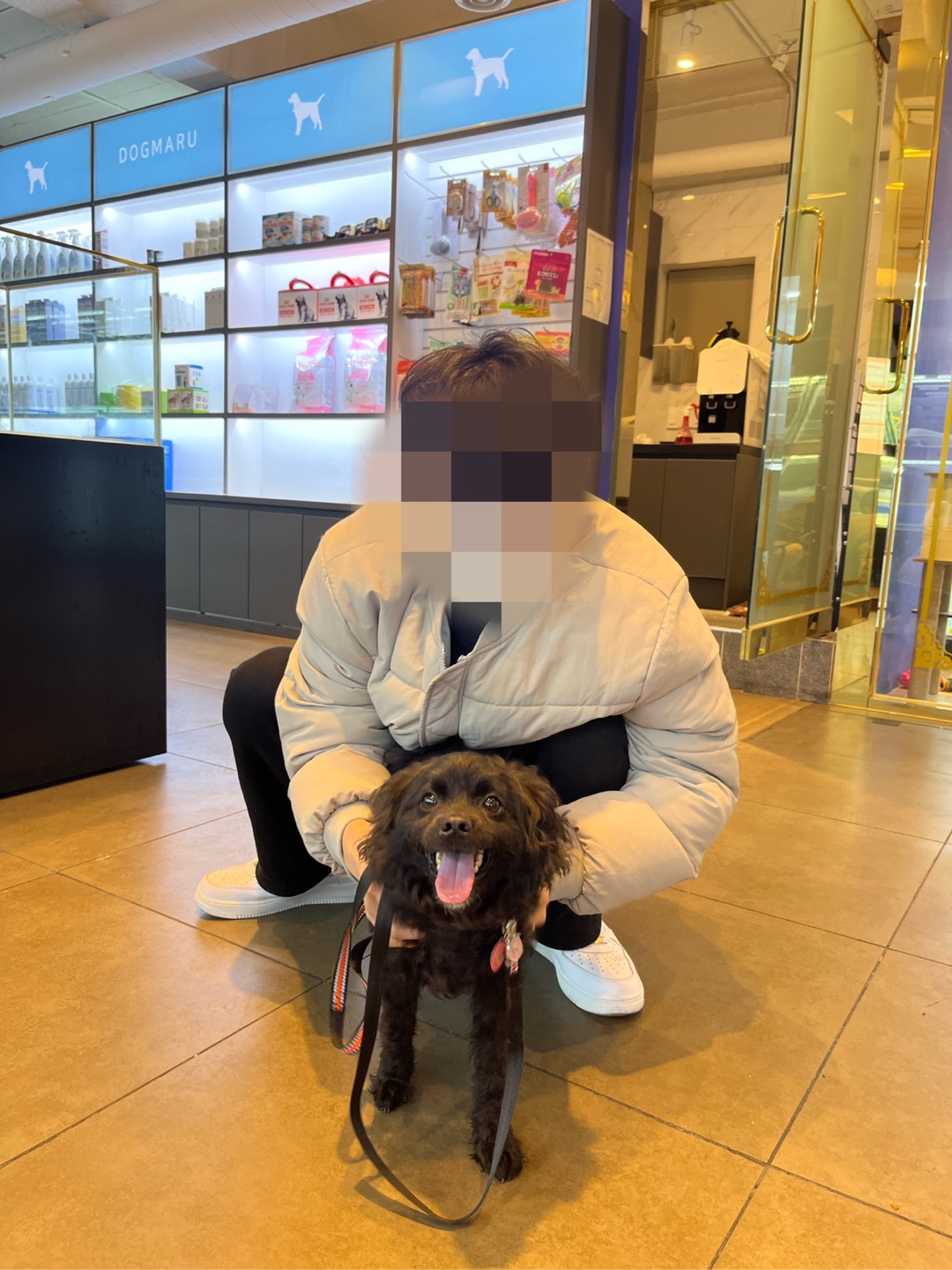 믹스견 둘이 푸숑책임분양 노르웨이숲책임분양 데본렉스책임분양 뱅갈책임분양 샴책임분양 셀커크렉스책임분양 스핑크스책임분양 아메리칸숏헤어책임분양 아메리칸컬책임분양 아비시니안책임분양