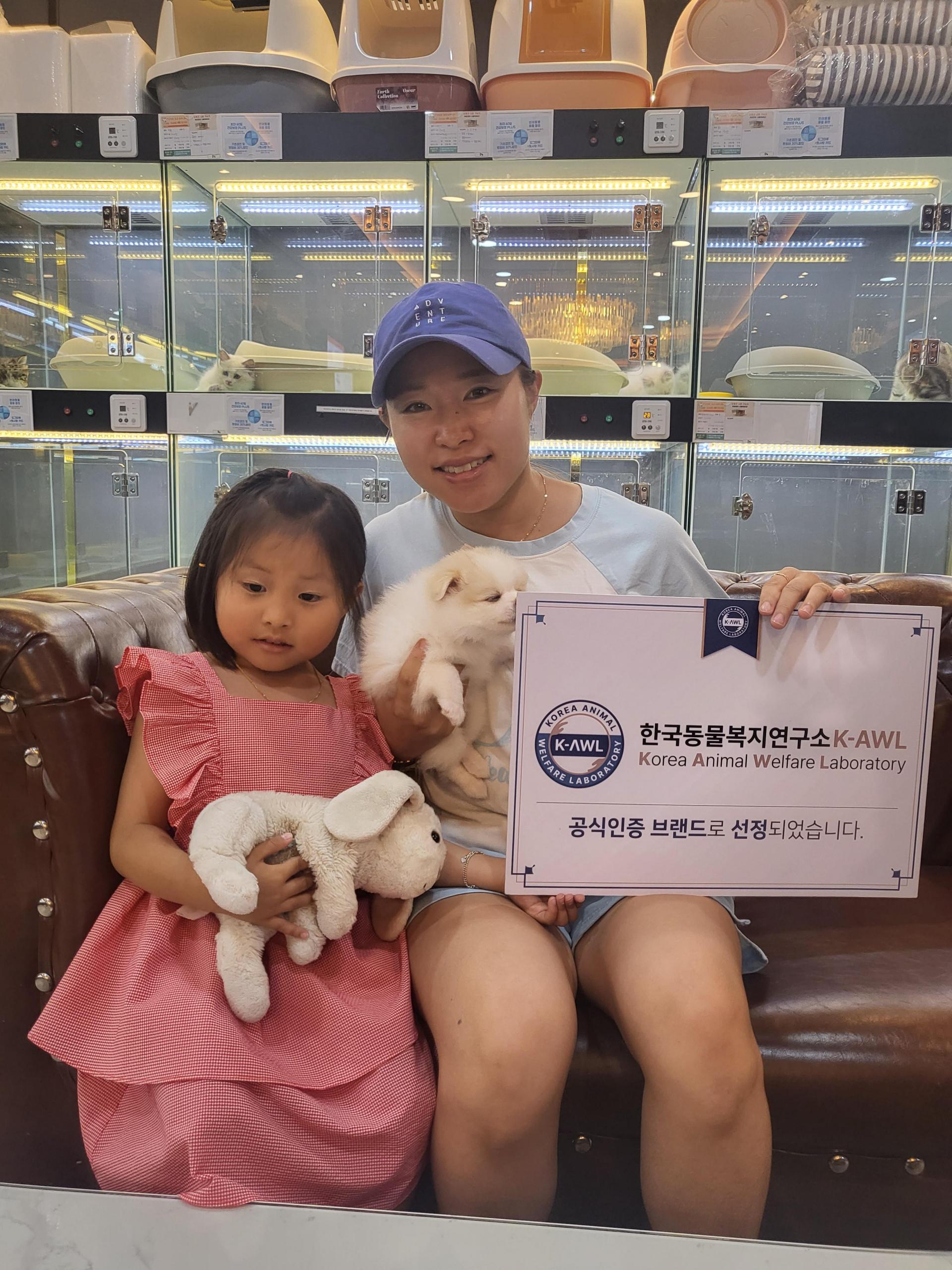 폼피츠 하트 폼스키크기 폼치크기 폼피츠크기 푸숑크기 노르웨이숲크기 데본렉스크기 뱅갈크기 샴크기 셀커크렉스크기 스핑크스크기 아메리칸숏헤어크기 아메리칸컬크기 아비시니안크기