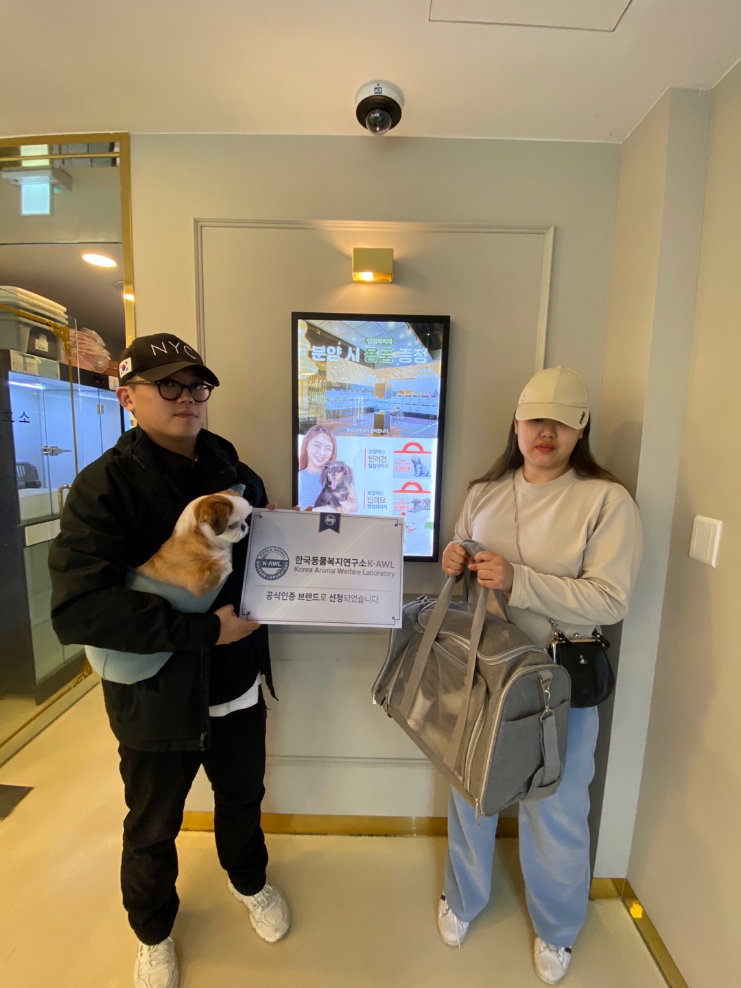 코리안숏헤어 현덕 말티즈크기 말티푸크기 푸들크기 먼치킨크기 랙돌크기 브리티쉬숏헤어크기 스코티쉬폴드크기 러시안블루크기 강아지크기 고양이크기 유기견임시보호 유기묘임시보호 강아지