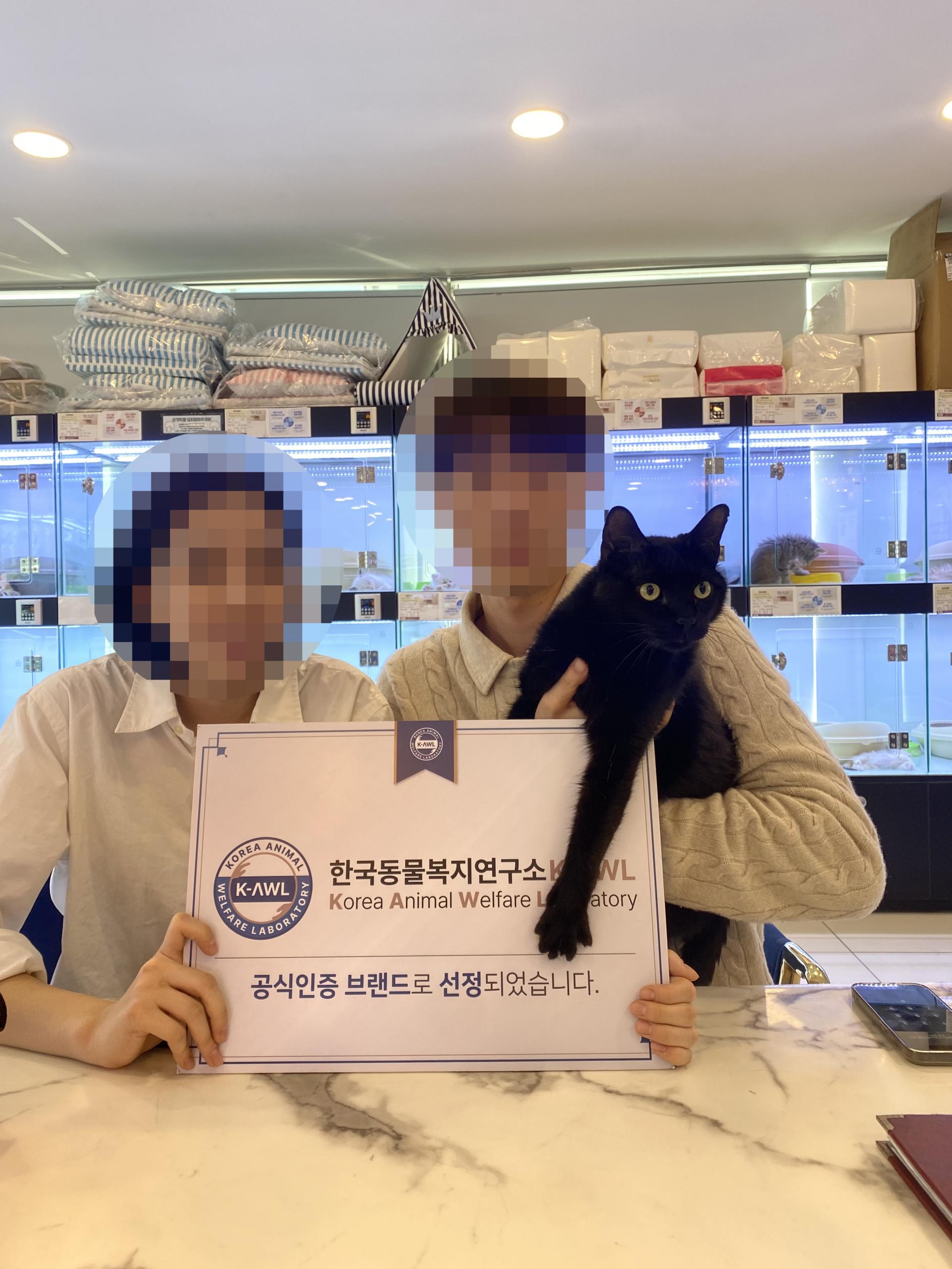 봄베이믹스 하루 애완견성격 반려견성격 소형견크기 중형견크기 미니비숑프리제크기 토이푸들크기 골든리트리버크기 래브라도리트리버크기 닥스훈트크기 도베르만크기 말티치크기 말티폼크기