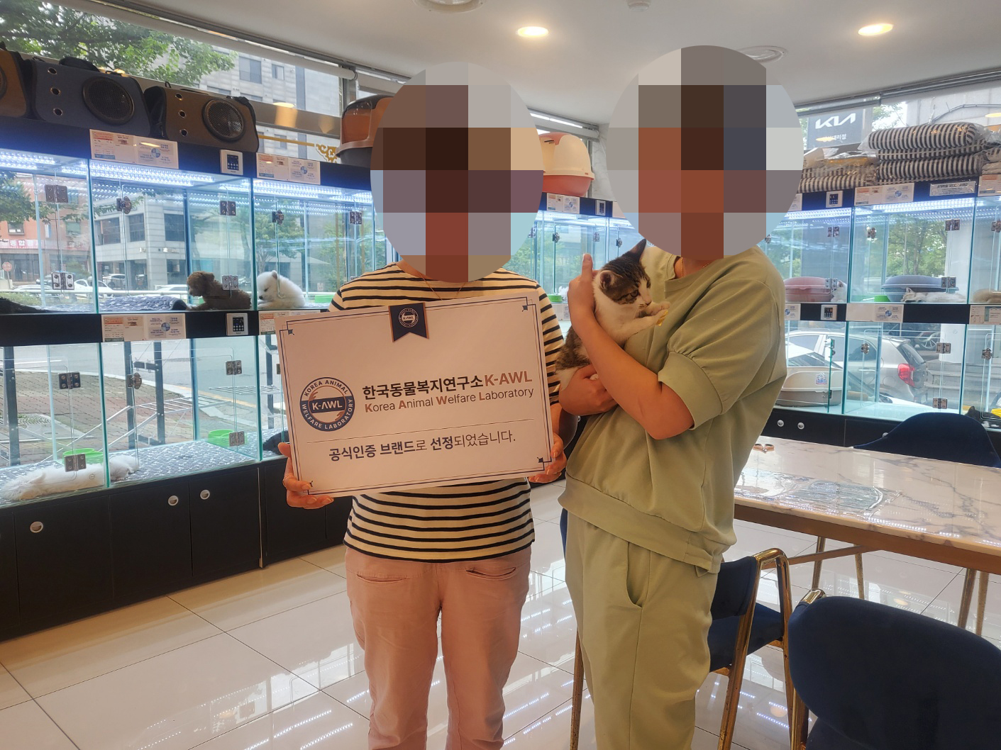 코리안숏헤어 이로 사모예드책임분양 스피츠책임분양 시바견책임분양 시베리안허스키책임분양 시츄책임분양 요크셔테리어책임분양 웰시코기책임분양 이탈리아그레이하운드책임분양 치와와책임분양