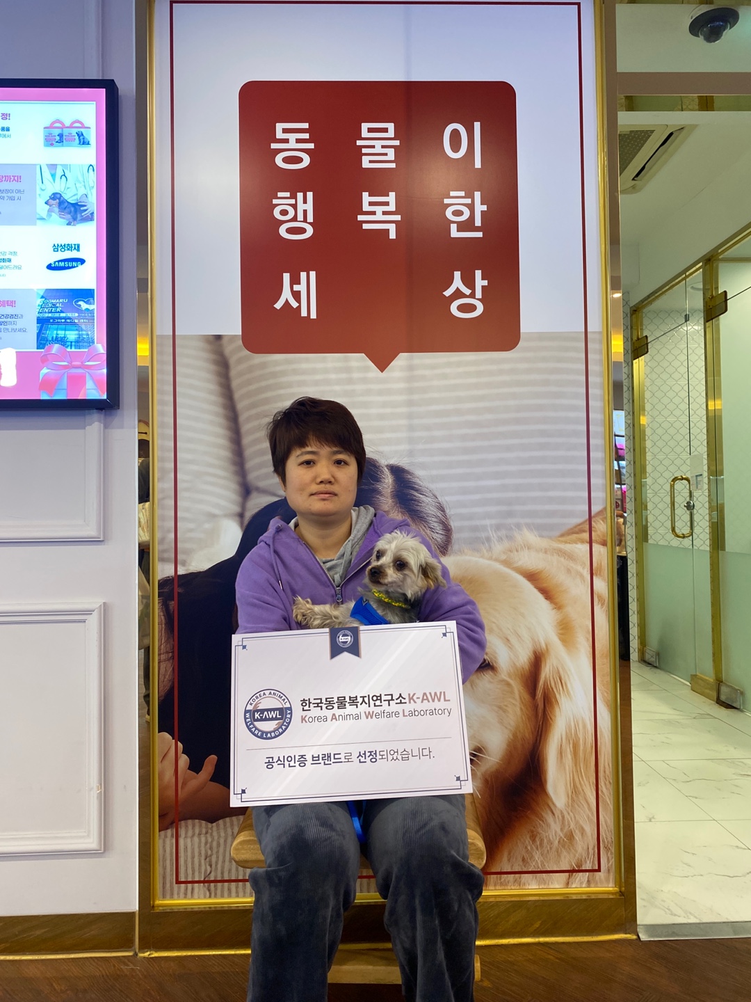 요크셔테리어 깜돌이 애완견성격 반려견성격 소형견크기 중형견크기 미니비숑프리제크기 토이푸들크기 골든리트리버크기 래브라도리트리버크기 닥스훈트크기 도베르만크기 말티치크기 말티폼