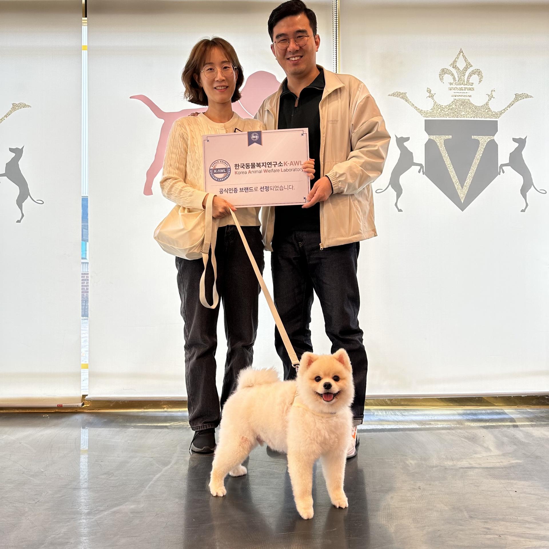 폼피츠 봄이 말티즈크기 말티푸크기 푸들크기 먼치킨크기 랙돌크기 브리티쉬숏헤어크기 스코티쉬폴드크기 러시안블루크기 강아지크기 고양이크기 유기견임시보호 유기묘임시보호 강아지임시