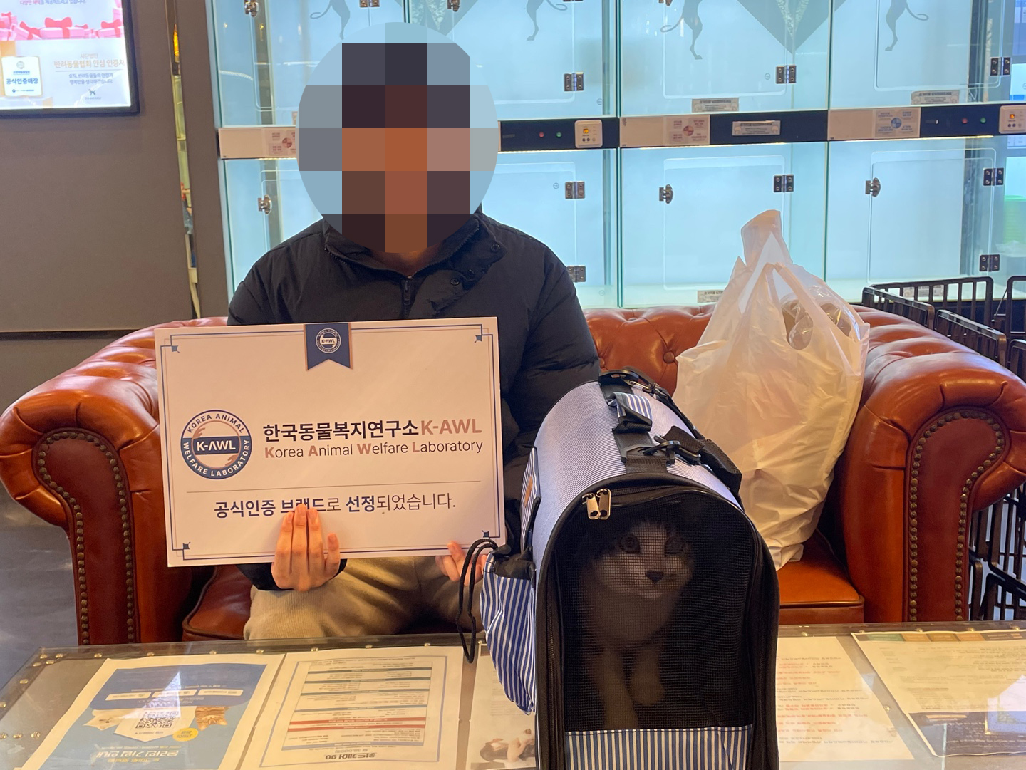 코리안숏헤어 레오 말티즈크기 말티푸크기 푸들크기 먼치킨크기 랙돌크기 브리티쉬숏헤어크기 스코티쉬폴드크기 러시안블루크기 강아지크기 고양이크기 유기견임시보호 유기묘임시보호 강아지