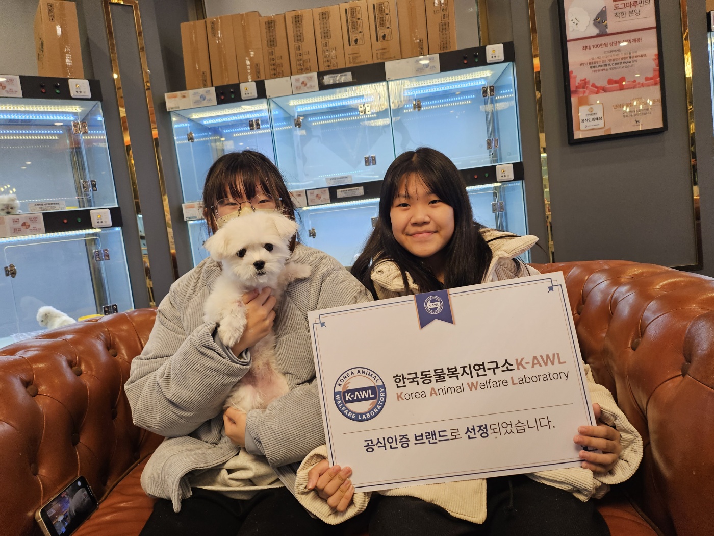 말티푸 누룽지 유기견입양 유기묘입양 강아지입양 소형견입양 중형견입양 대형견입양 말티즈입양 말티푸입양 비숑프리제입양 미니비숑프리제입양 포메라니안입양 푸들입양 골든리트리버입양