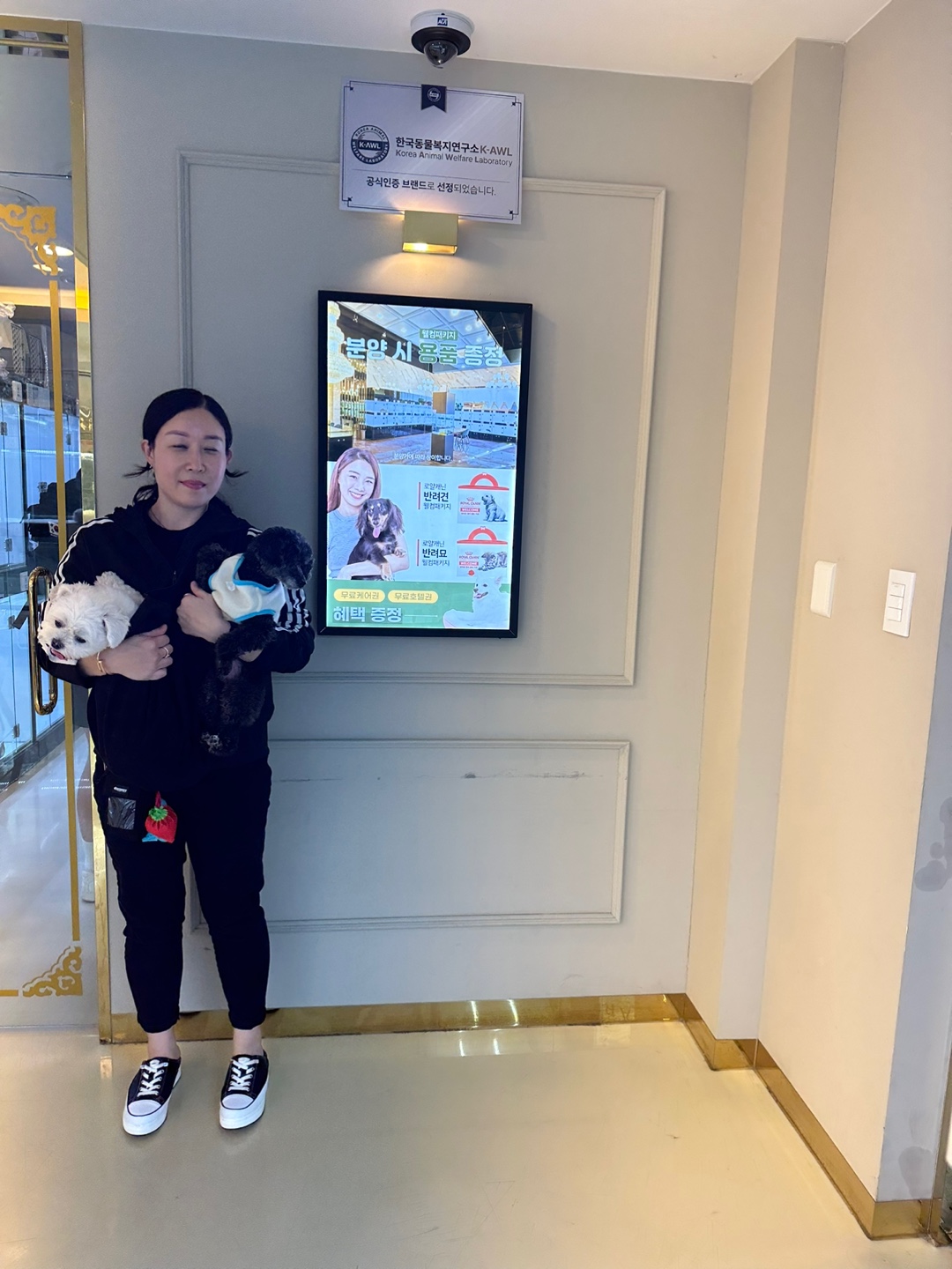 푸들 까망이 애완견성격 반려견성격 소형견크기 중형견크기 미니비숑프리제크기 토이푸들크기 골든리트리버크기 래브라도리트리버크기 닥스훈트크기 도베르만크기 말티치크기 말티폼크기 보더