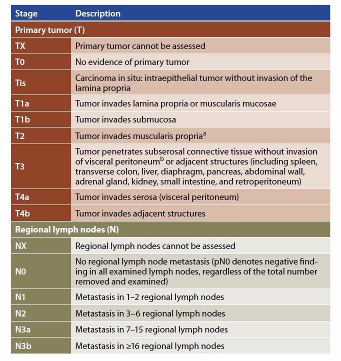 위암 Stomach Cancer : HEAR•TI 하티