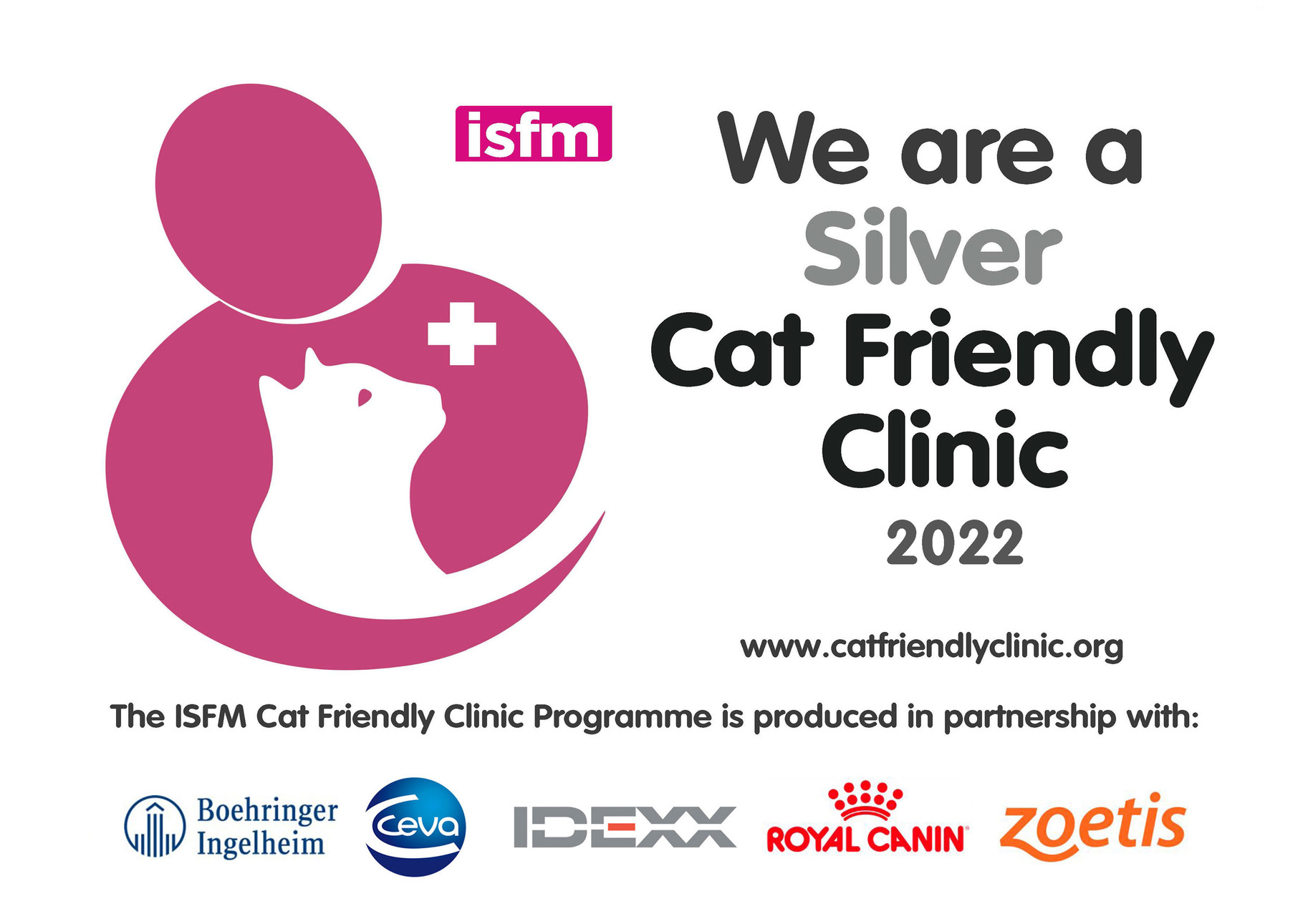 고양이만 진료하는 캣앤캣 고양이병원