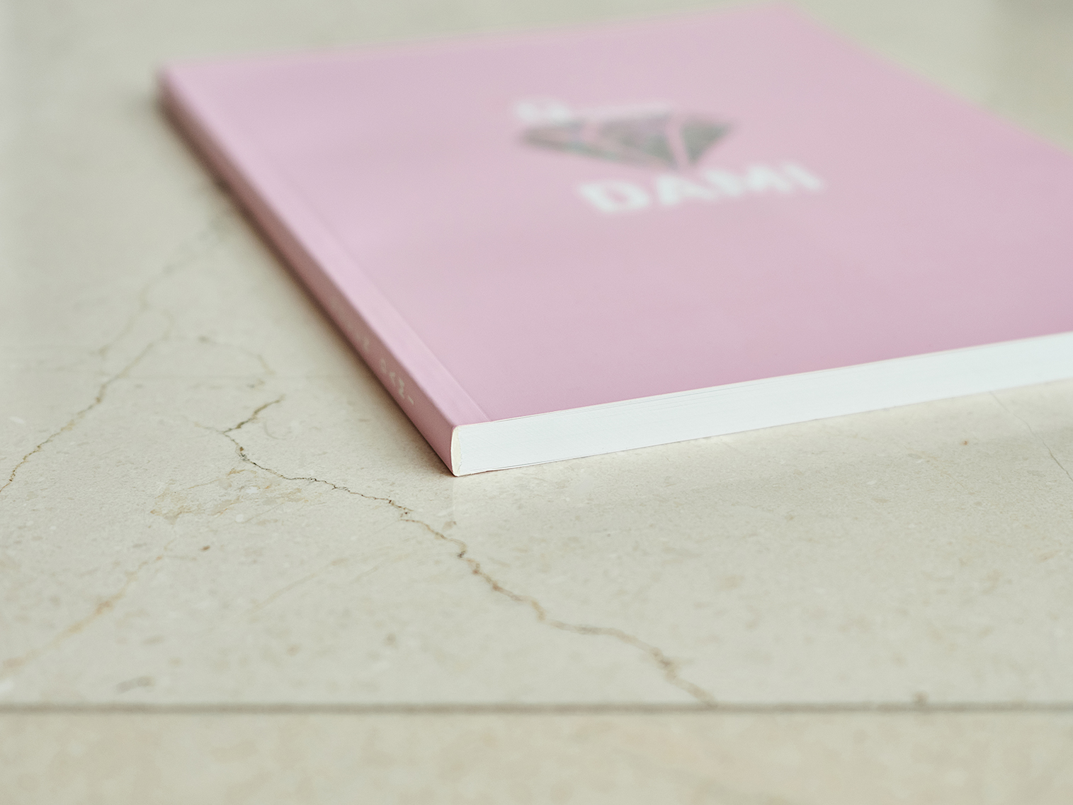 Queen Dami 寫真集 : tw.artgraphy.co.kr