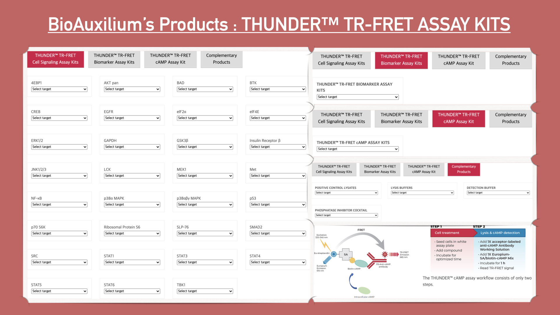 Thunder TR-FRET Aassay Kits... : Recomninase Polymerase Amplification ...