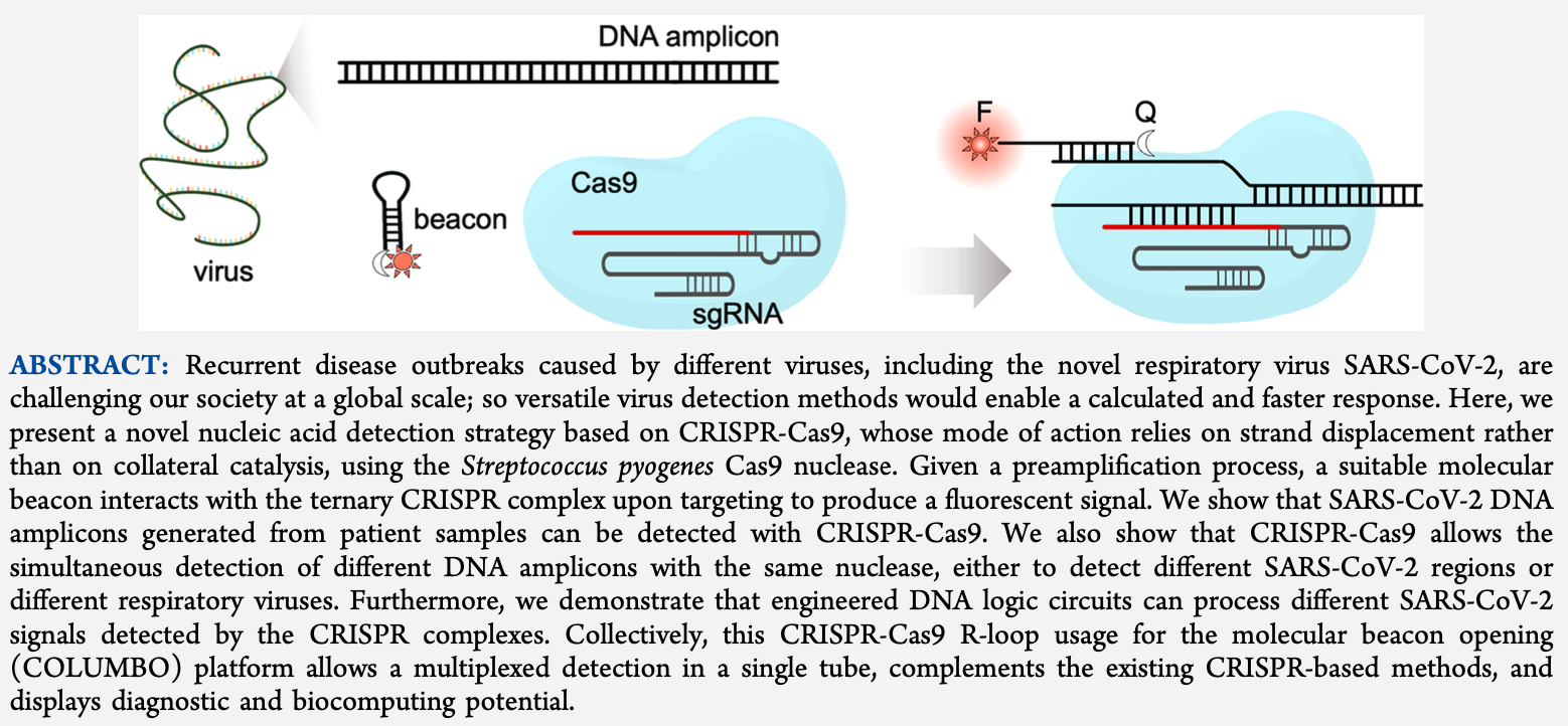 Multiplexable virus detection by CRISPR-Cas9-mediated strand ...