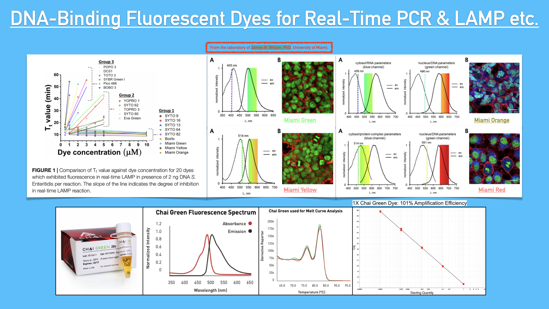 DNA-Binding Fluorescetn Dyes for Real-Time LAMP, PCR etc. : DNA-Binding ...