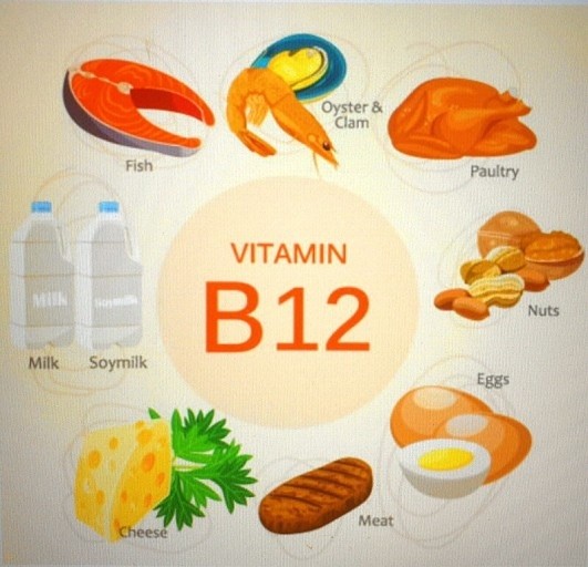 비타민B12 진실 혹은 거짓 : 로젠요양병원